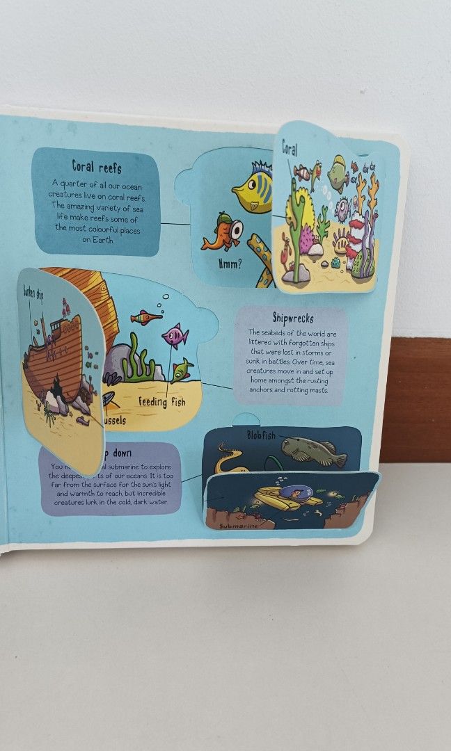 Under the Sea Flap Book, Hobbies & Toys, Books & Magazines, Children's ...