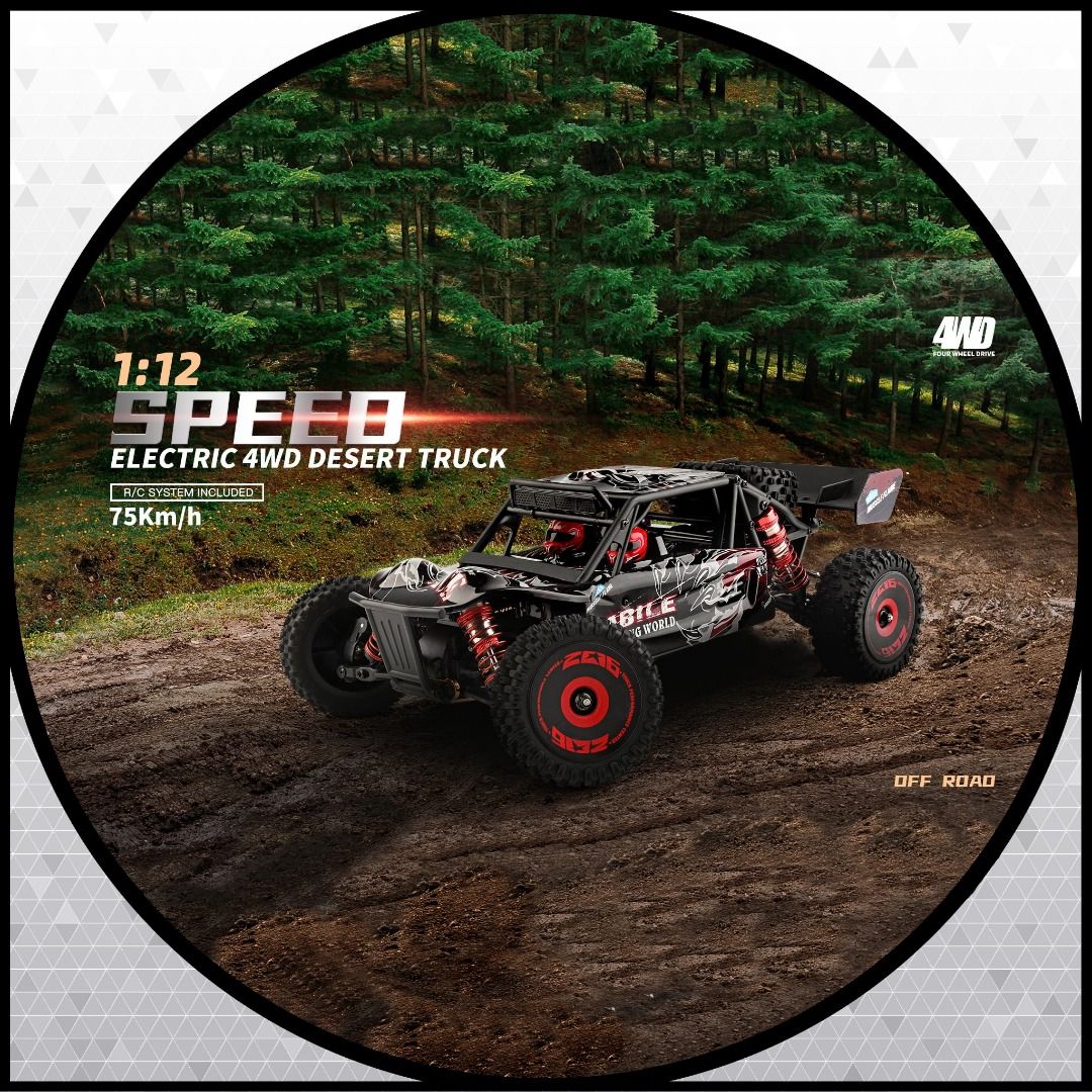 WLToys 124016 V2 RC Car Off-road Buggy Basher 1:12 scale 2.4ghz ...