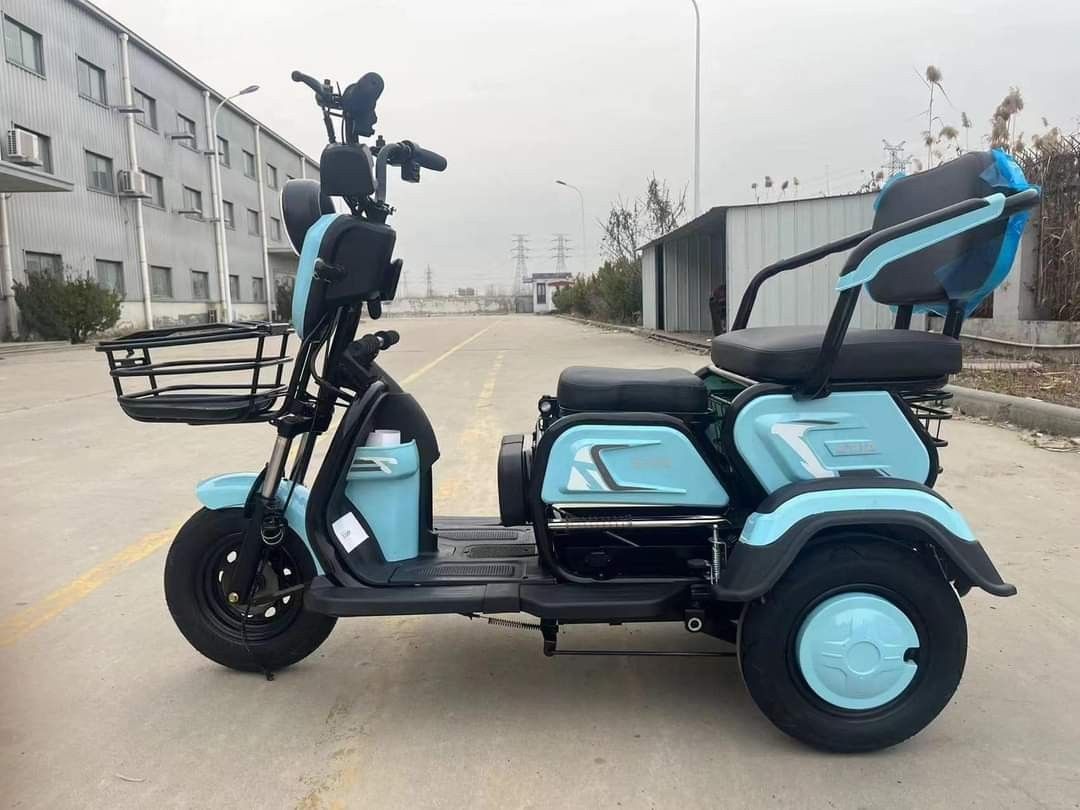 AVIA CROWN 3 Wheels E-TRIKE TRANSFORMER 😱, Sports Equipment, Bicycles ...