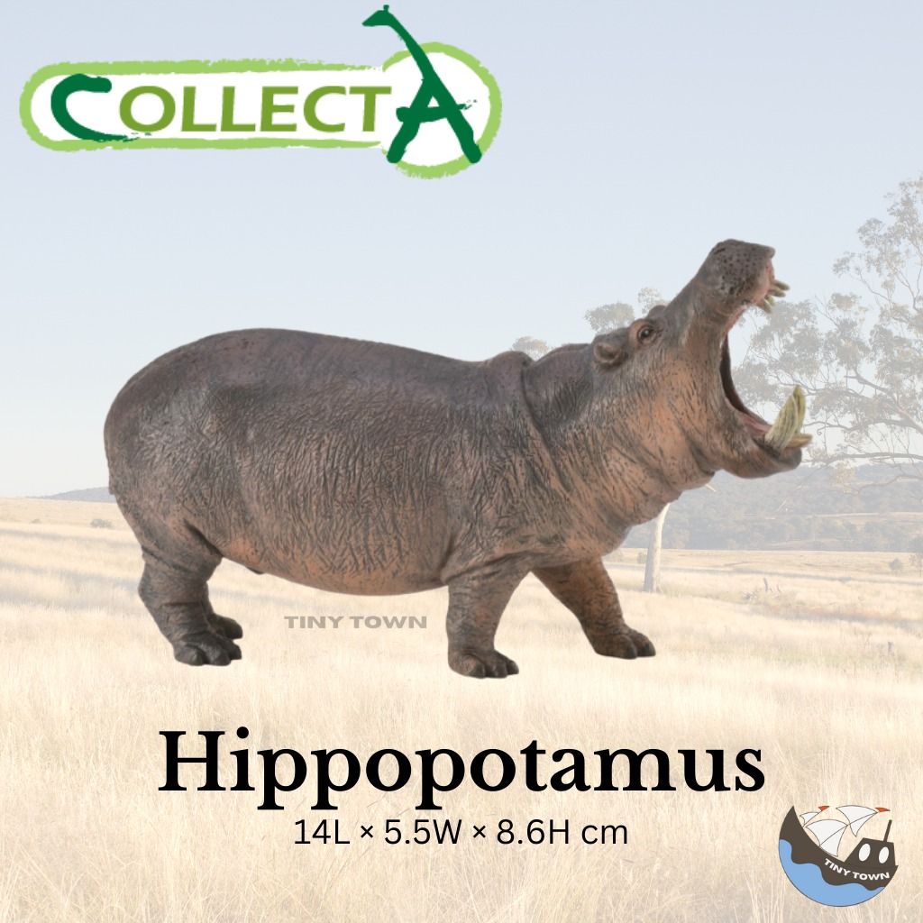 CollectA Wildlife Animal replicas and animal figurines, Hobbies & Toys ...