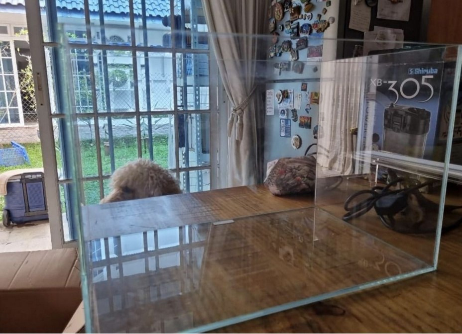 Crystal Glass Aquarium tank 45cm, Pet Supplies, Homes & Other Pet ...