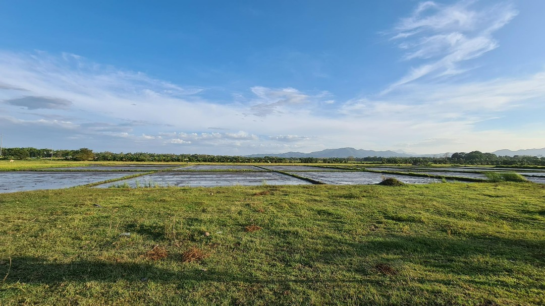 For Sale: 5 Hectare Agricultural Lot in San Juan Batangas, for P75M ...