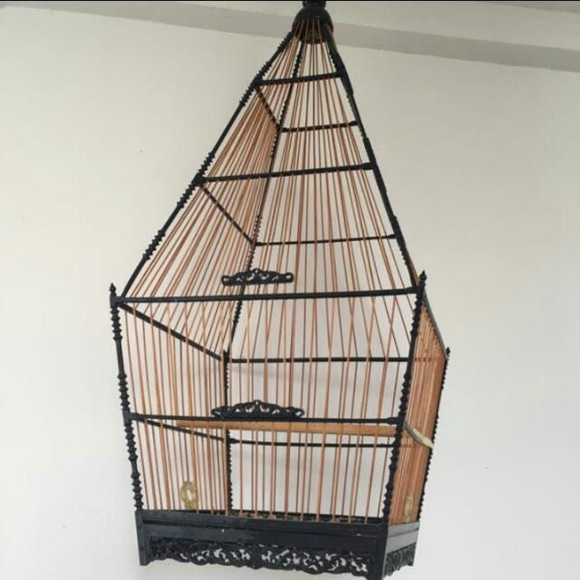 Jambul, Pet Supplies, Homes & Other Pet Accessories on Carousell