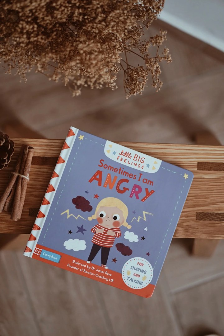 Little Big Feelings: Sometimes I am Angry, Hobbies & Toys, Books ...