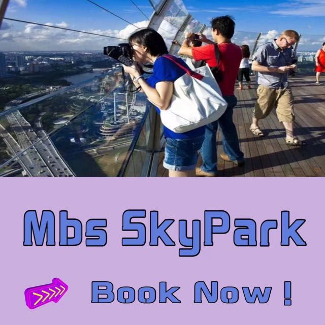 Mbs Skypark promotion, Tickets & Vouchers, Local Attractions & Transport on Carousell