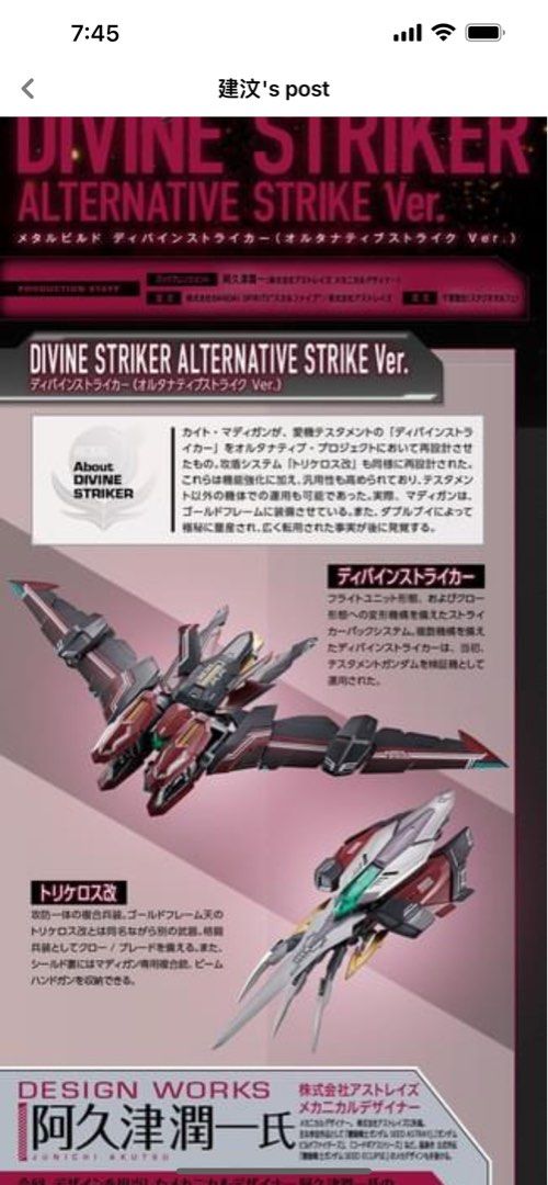 METAL BUILD DIVINE STRIKER (ALTERNATIVE STRIKE Ver.), Hobbies & Toys ...