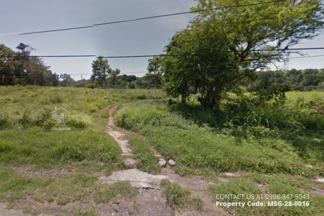 MSG-28-0016 Kamaya Point Bo. Alas-asin, Cabcaben, Mariveles FORECLOSED ...