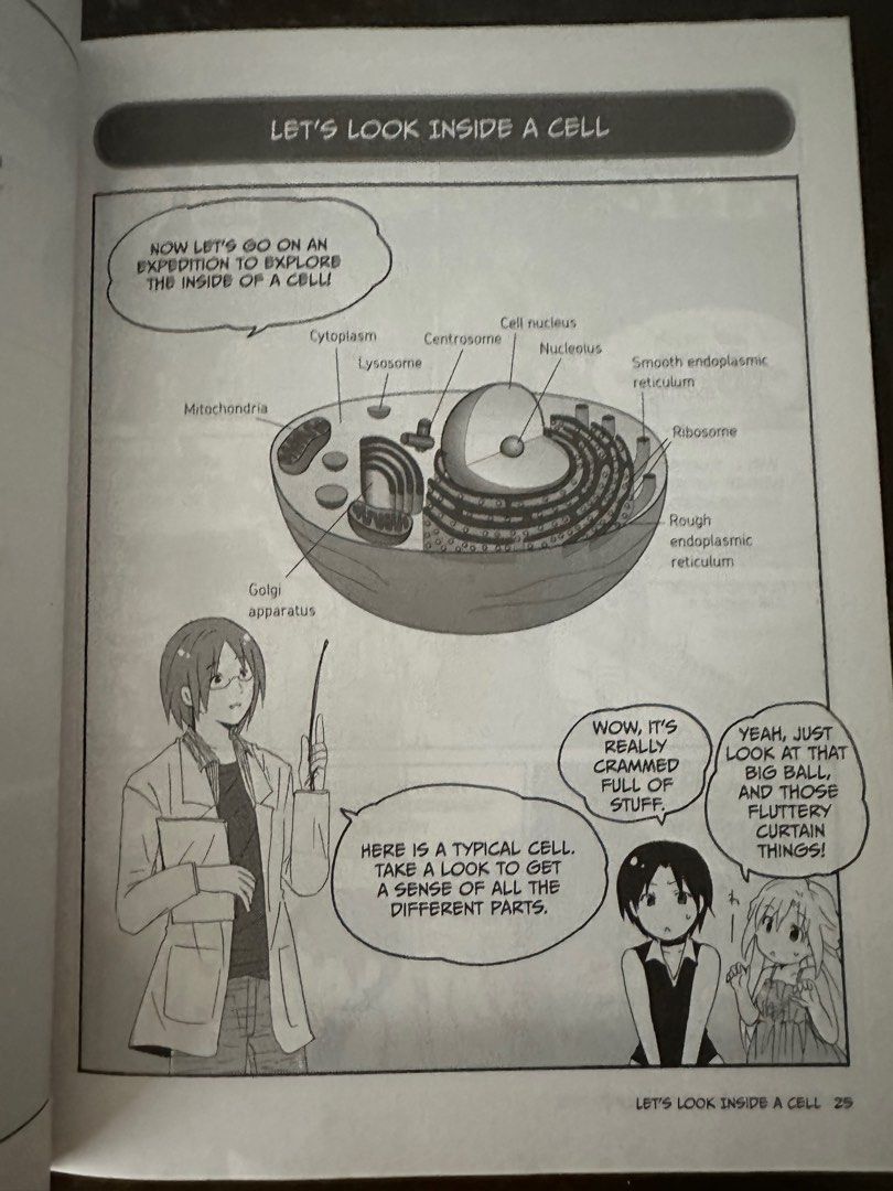 The Manga Guide to Molecular Biology by Masaharu Takemura and Becom Co ...