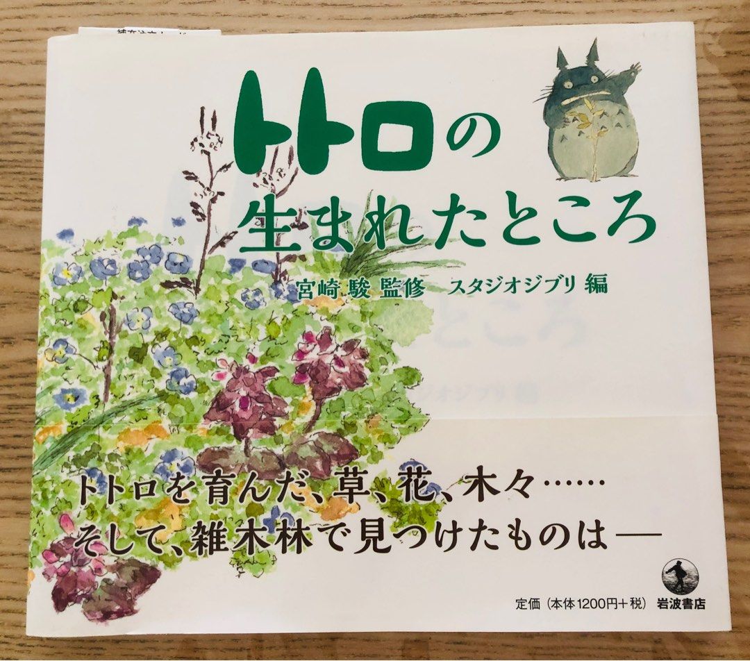 Totoro illustration book, Hobbies & Toys, Books & Magazines, Comics ...