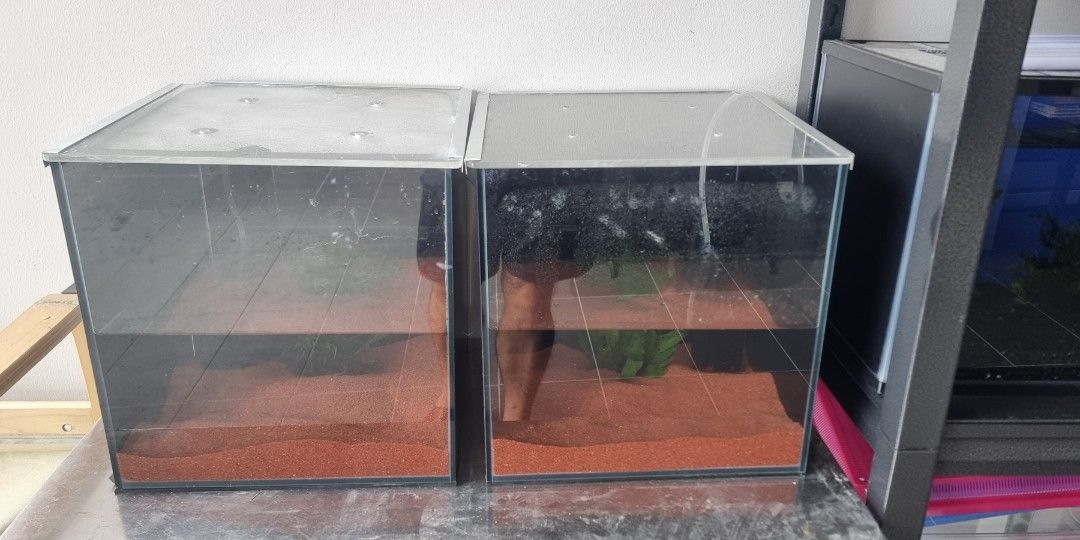 1ft cube fish tank, Pet Supplies, Homes & Other Pet Accessories on ...