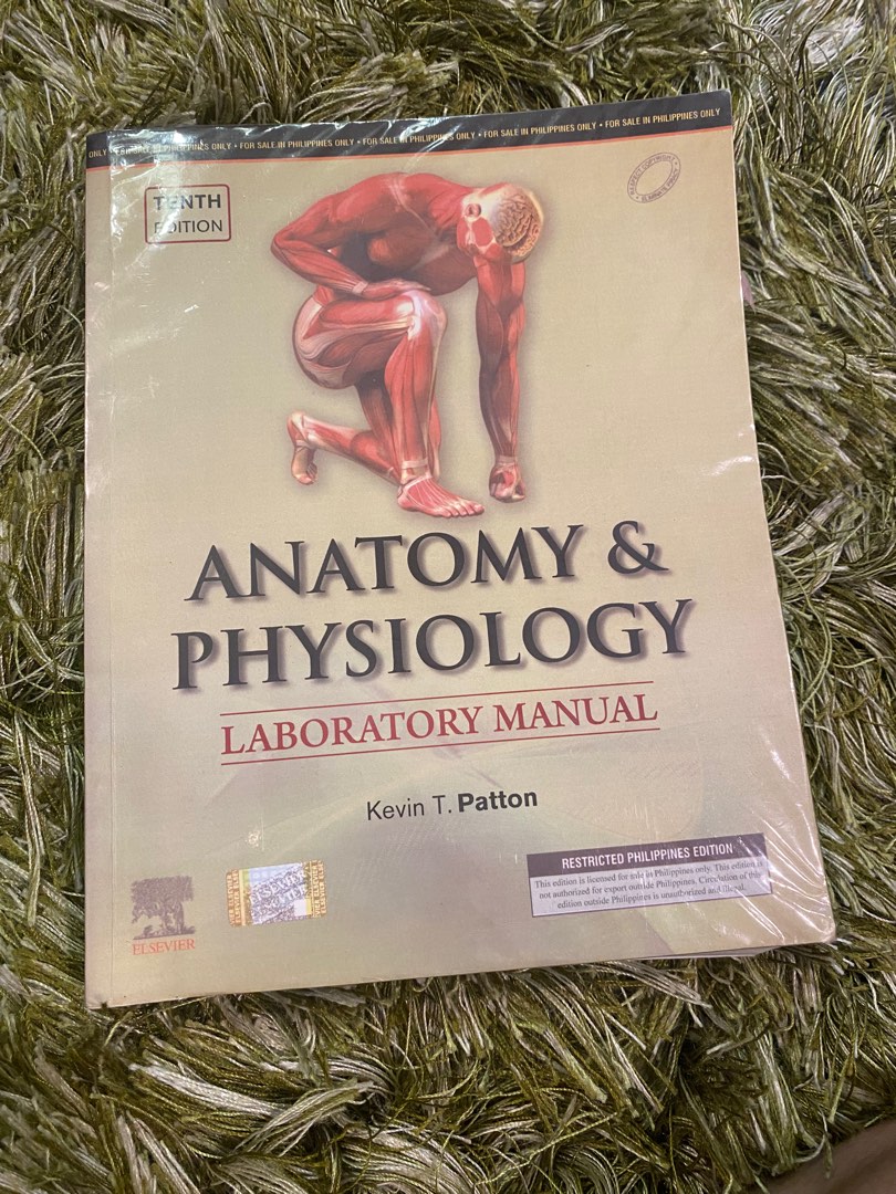 Anatomy and Physiology Lab Manual, Hobbies & Toys, Books & Magazines, Textbooks on Carousell
