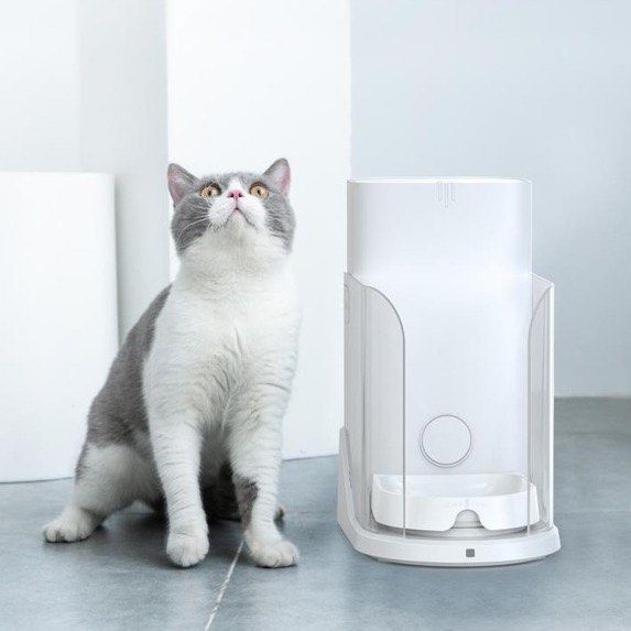 Catlink One AI - Smart Automatic Cat and Pet Feeder, Pet Supplies ...