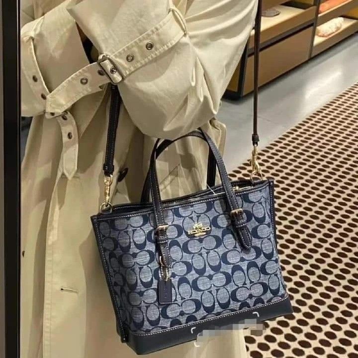 Coach small tote, Women's Fashion, Bags & Wallets, Tote Bags on Carousell