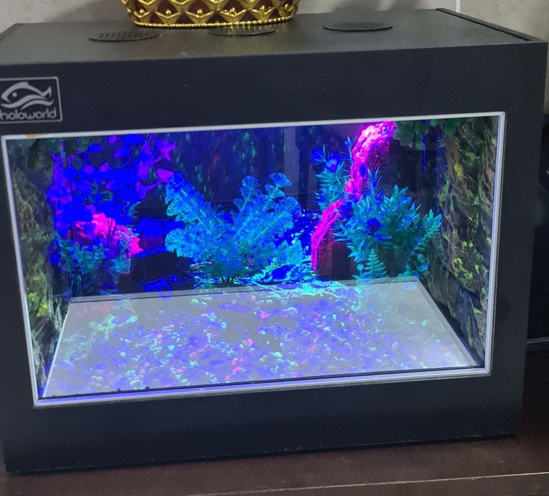 Hologram 3D Aquarium, Pet Supplies, Homes & Other Pet Accessories on ...