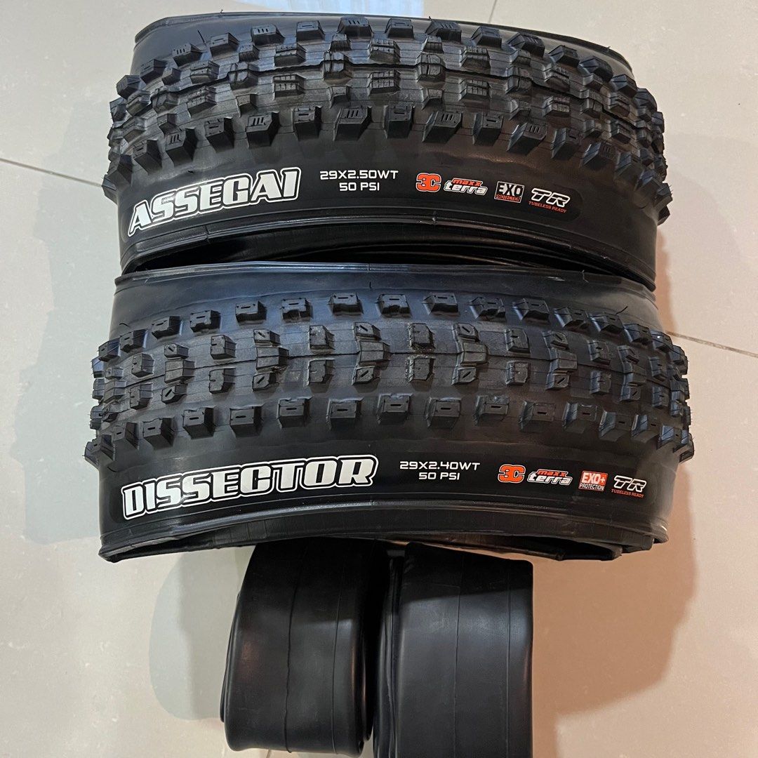 Maxxis Dissector 29er (Assegai Sold!), Sports Equipment, Bicycles ...