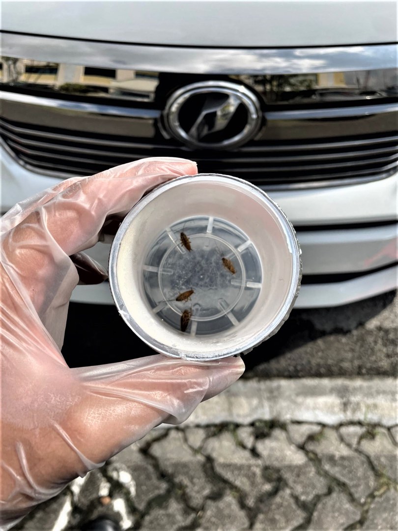 24/7 Mobile Car Pest Fumigation, Car Accessories, Car Workshops ...