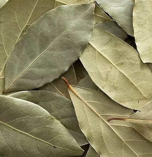 Organic Bay Leaves (>300g), Health & Nutrition, Health Supplements ...