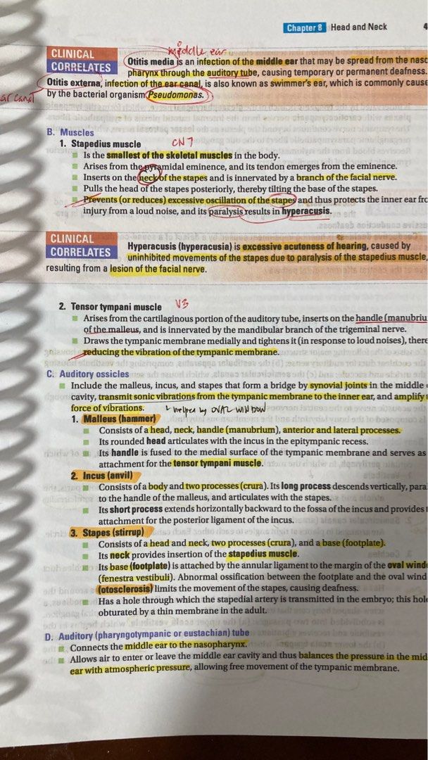 PLE REVIEWERS/BRS/BLUEPRINTS/ABSITE, Hobbies & Toys, Books & Magazines ...