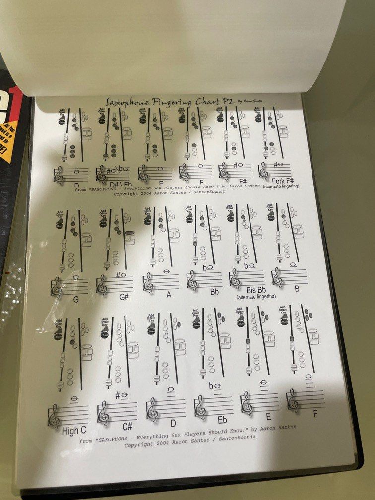 Saxophone stagg 77-SA, Hobbies & Toys, Music & Media, Musical ...