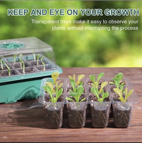 Sprout Lab Seedling Seed Starter Tray, Furniture & Home Living ...