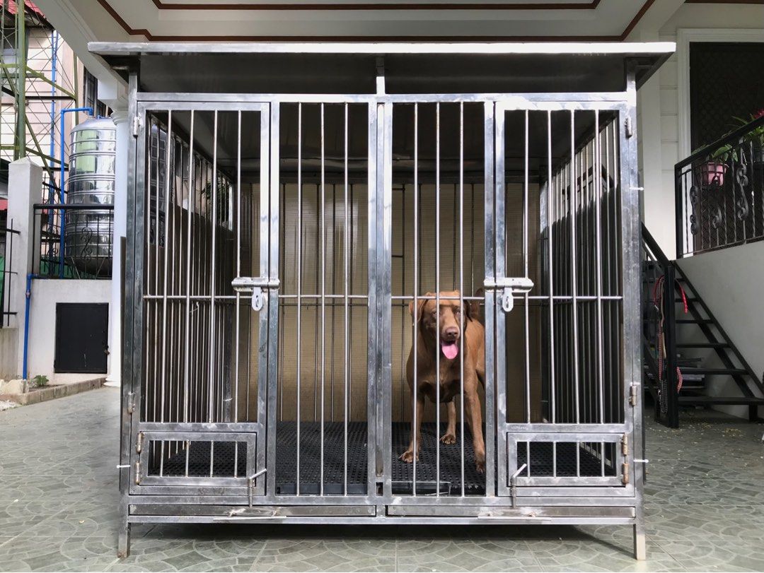 Stainless Dog Cage, Pet Supplies, Homes & Other Pet Accessories on ...