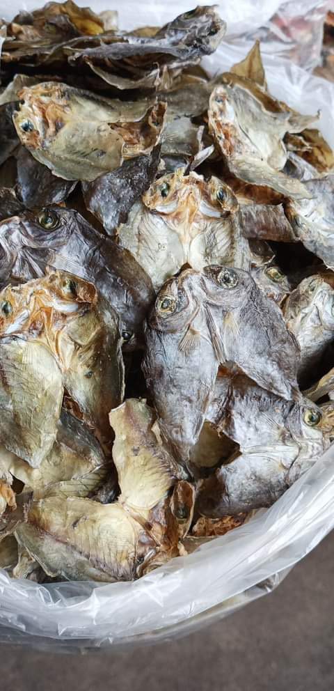Unsalted danggit and donpilas from Mariveles bataan, Food & Drinks ...