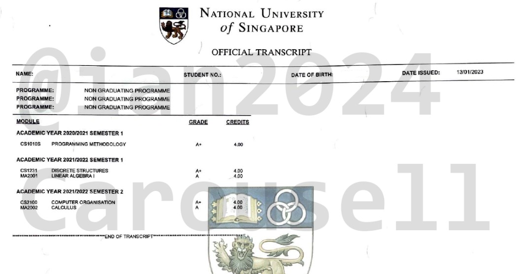 1 to 1 H1/H2 Math/Computing/Physics Tuition by NUS High School Graduate ...