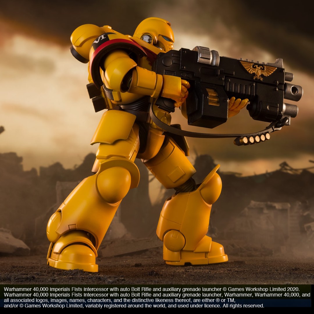日版 全新BANDAI WARHAMMER 40K Imperial Fists Intercessor warhammer 40k (Not ...