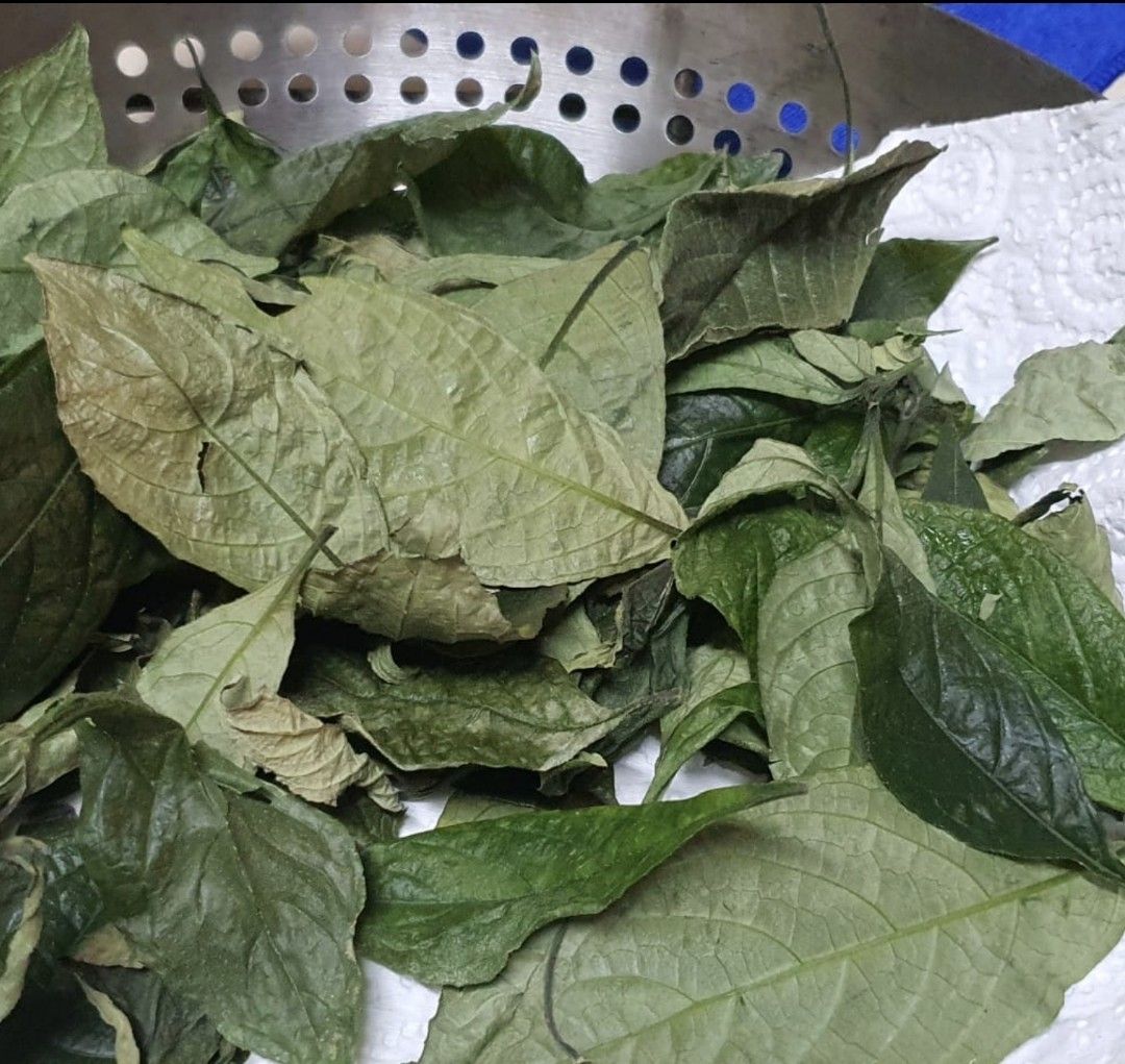 Black Face General Tea Leaves - Organic (Dried and Dehumidified), Food ...