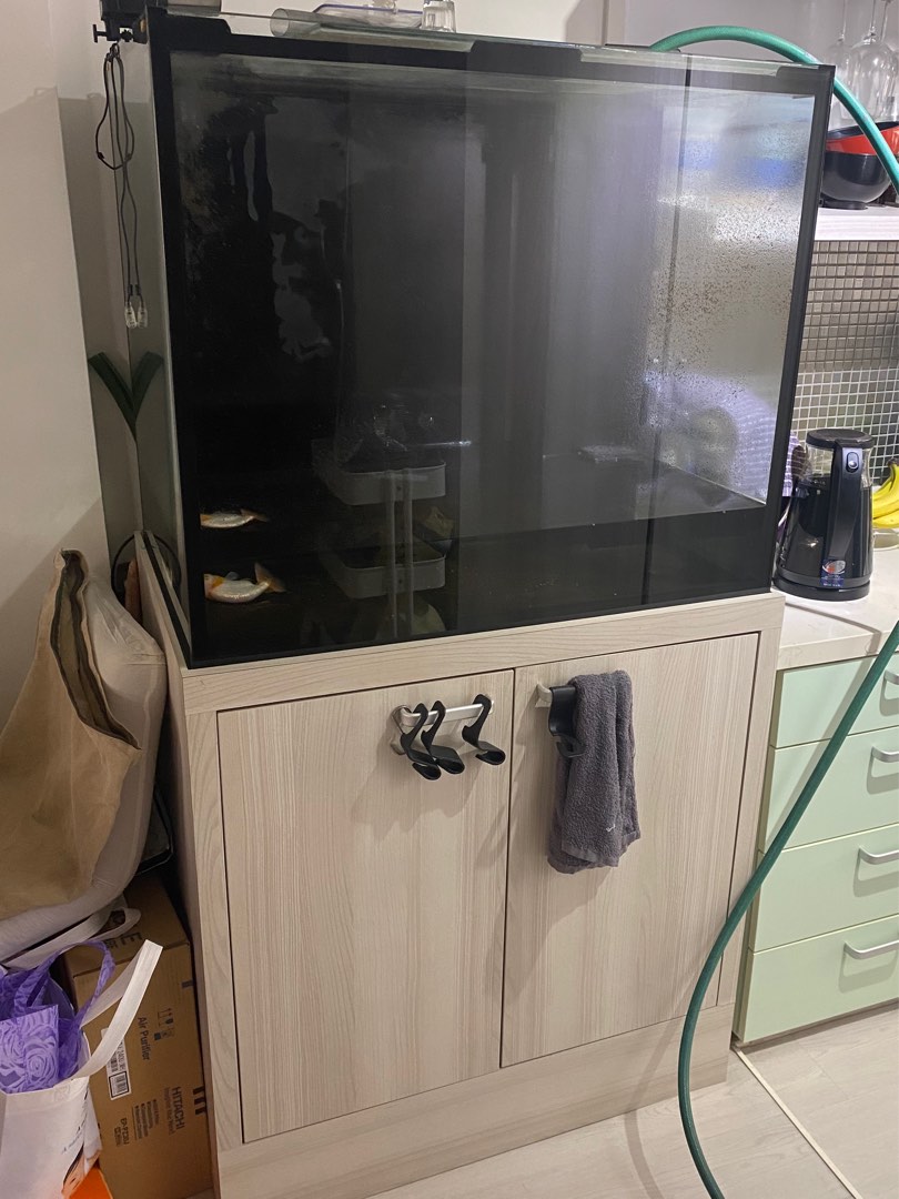 Custom 3ft x 3ft sump tank for sale, Pet Supplies, Homes & Other Pet ...