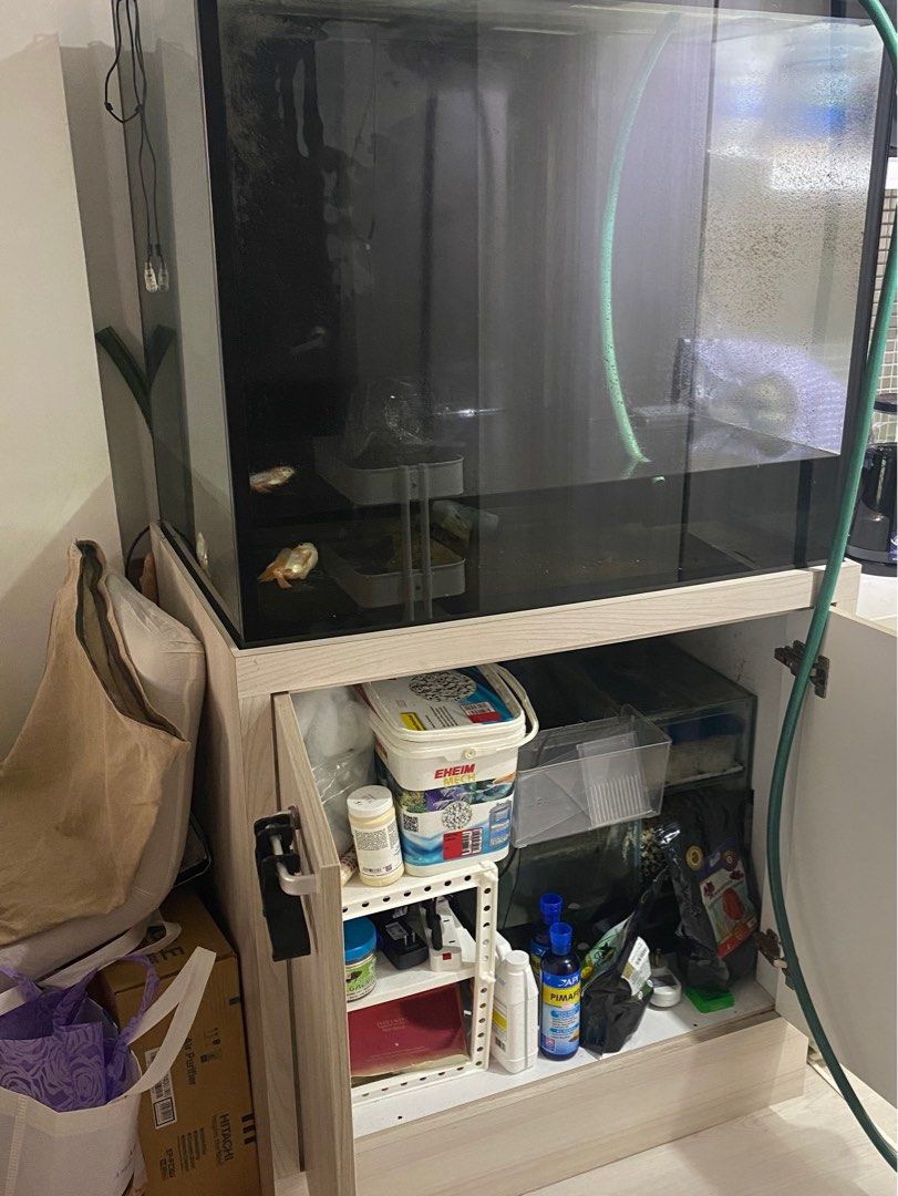 Custom 3ft x 3ft sump tank for sale, Pet Supplies, Homes & Other Pet ...