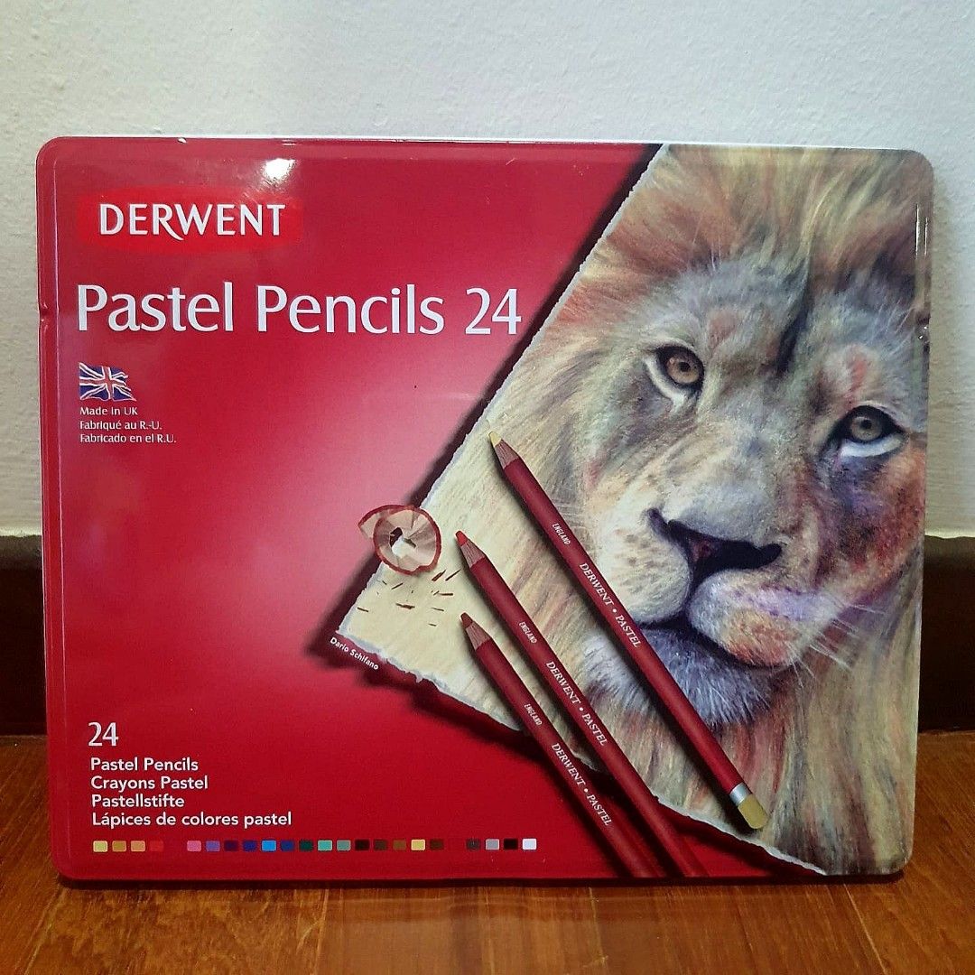 DERWENT PASTEL COLOURED PENCILS 24 PACK, Hobbies & Toys, Stationery ...