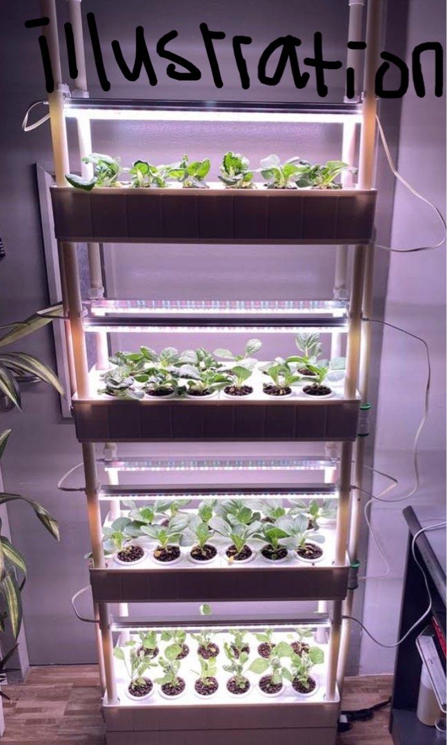 Hydroponics 4 tier home planter system with LED lights, Furniture ...