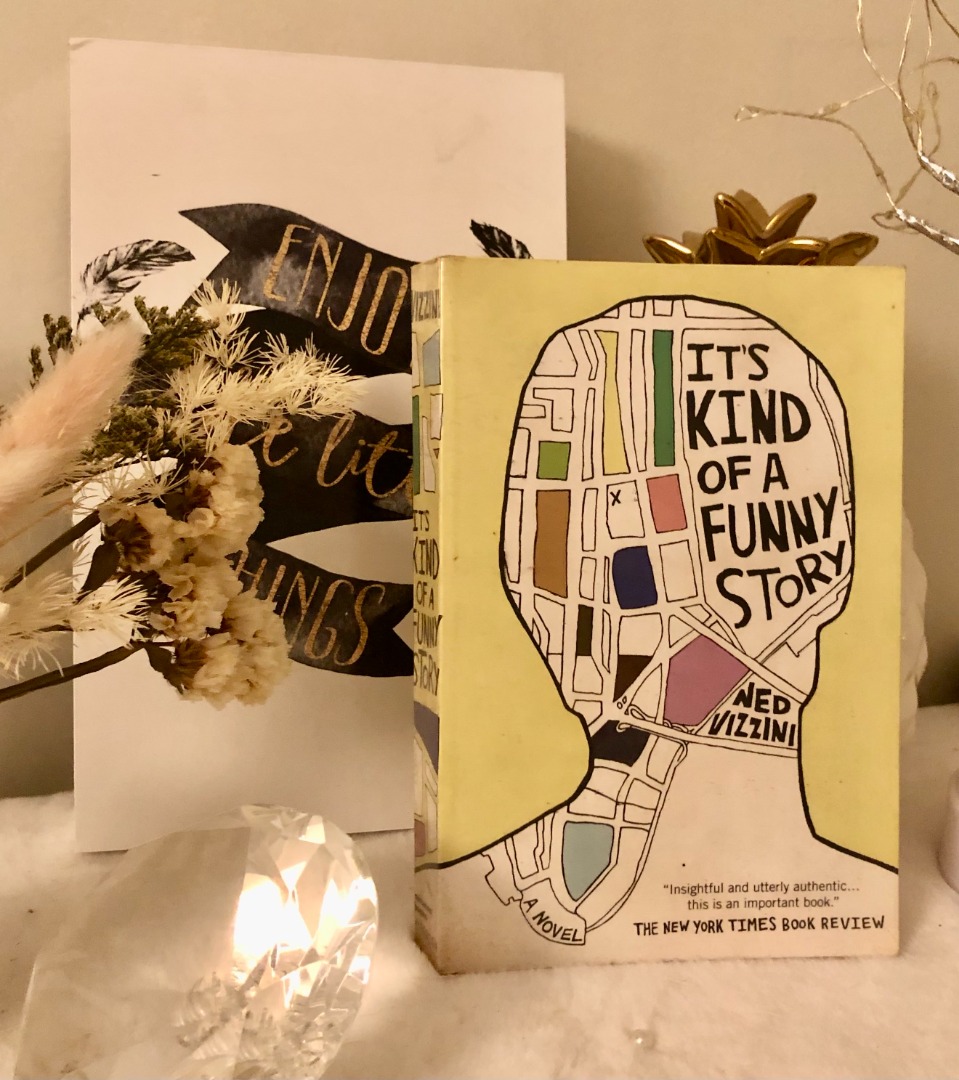 It's Kind of a Funny Story by Ned Vizzini, Hobbies & Toys, Books ...