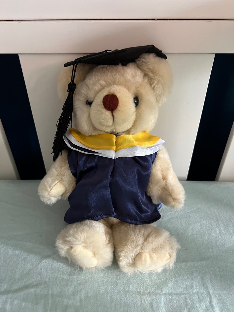 NTU Bachelor of Engineering Graduation Bear, Hobbies & Toys, Toys ...