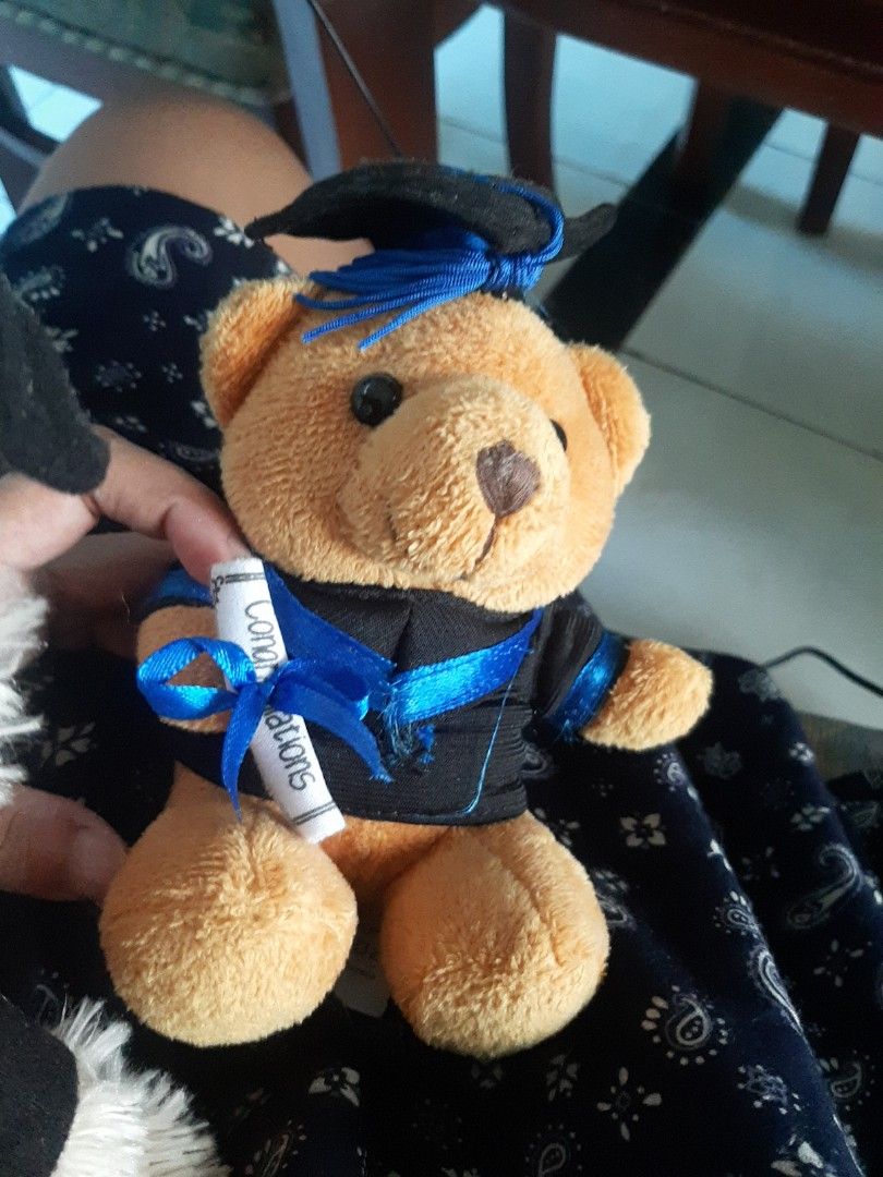 (TAKE ALL) Boneka wisuda graduation doll teddy bear beruang kado wisuda ...