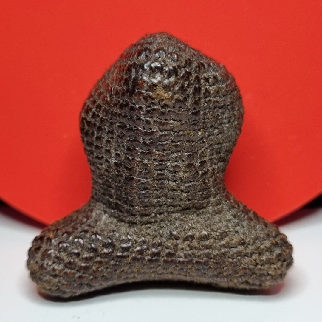 Tok Raja (LP Kron) Phra Pidta, Hobbies & Toys, Memorabilia ...