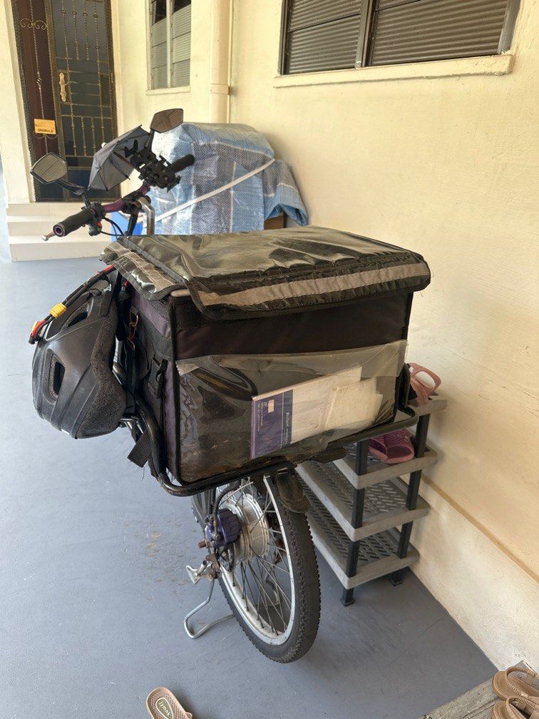 Zebra 48V battery and Motor, Sports Equipment, PMDs, E-Scooters & E ...