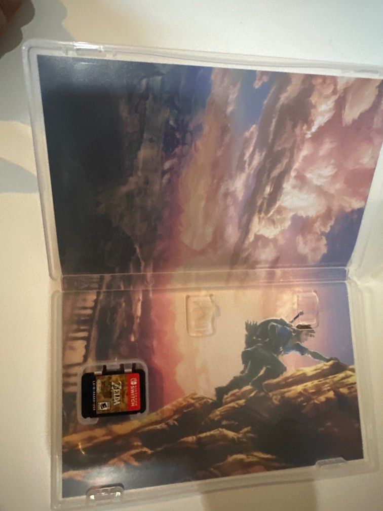 Zelda BOTW nintendo switch, Video Gaming, Video Games, Nintendo on ...