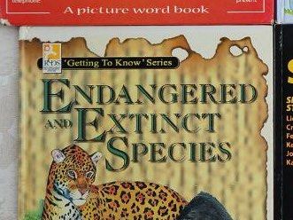 Educational animal books, Hobbies & Toys, Books & Magazines, Children's ...