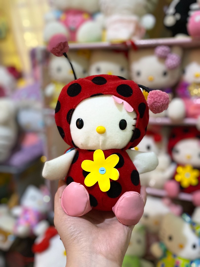 Hello kitty lady bug on Carousell
