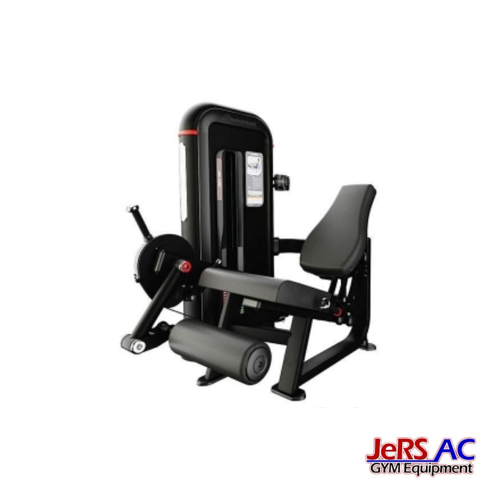 Leg Extensions, Leg Curl Machines on Carousell