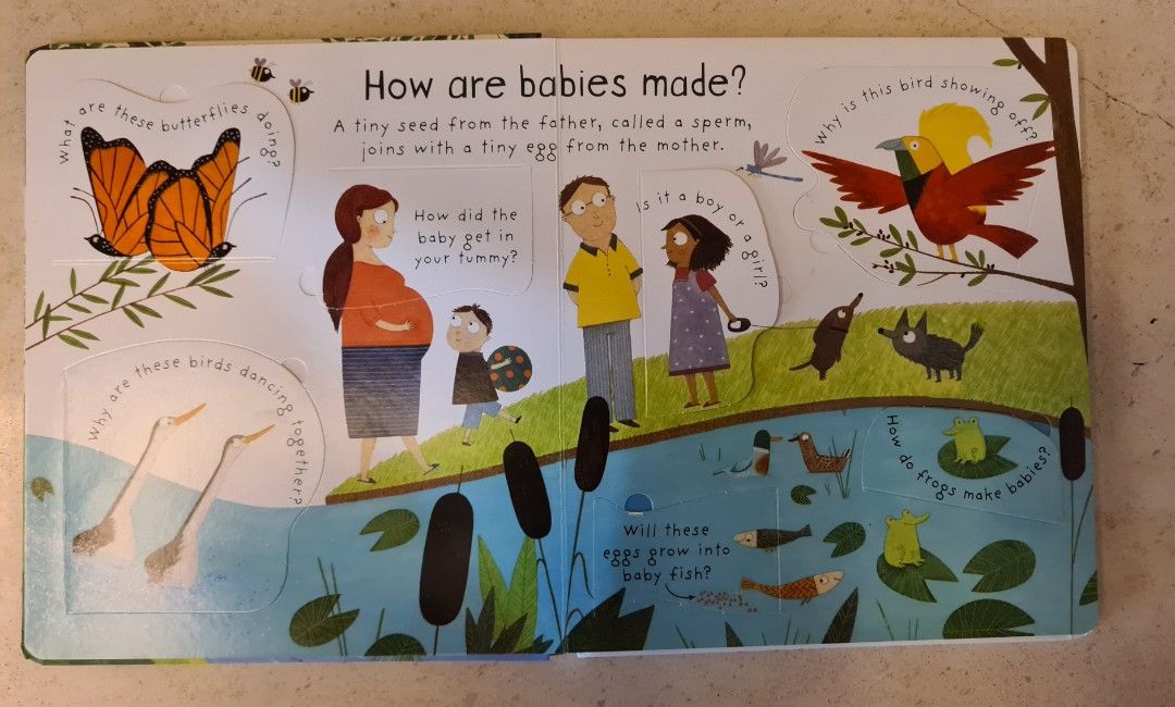 Usborne Where do babies come from?, Hobbies & Toys, Books & Magazines ...
