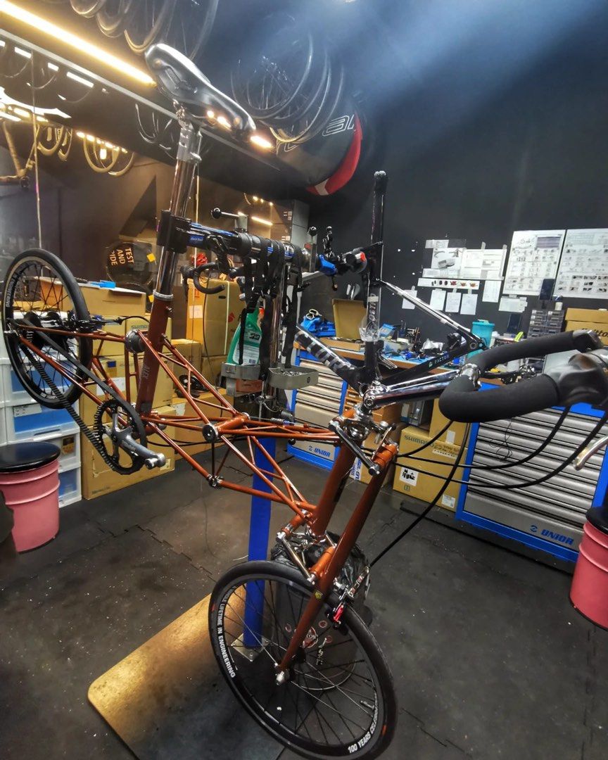 Alex Moulton NS Marathon The Celebration Limited Ed 100 pcs, Sports ...