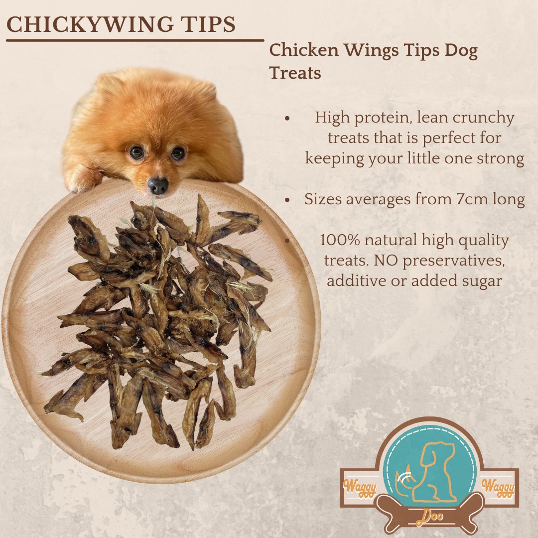 Chicken Wings Tips | Dog Treats | Dehydrated Dog Treats | 50/100/200g, Pet Supplies, Pet Food on ...