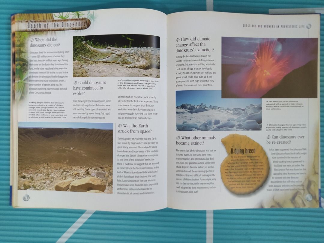 Encyclopedia of Questions & Answers, Hobbies & Toys, Books & Magazines ...