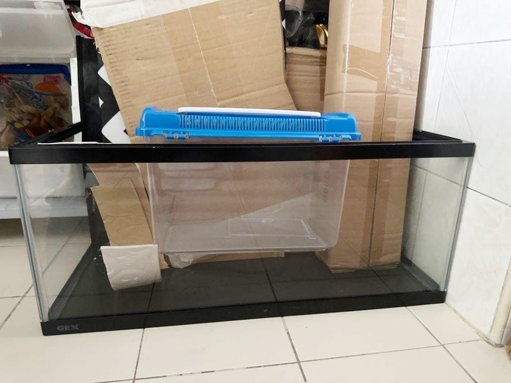 Fish Tank LONG GLASS TANK - 60cm, Pet Supplies, Homes & Other Pet ...