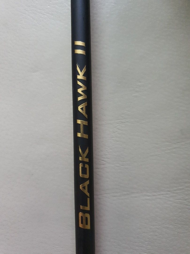 KastKing Black Hawk II 1.98 ML Spinning telescopic rod, Sports ...