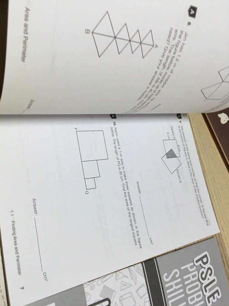 PSLE problem solving skills, Hobbies & Toys, Books & Magazines ...