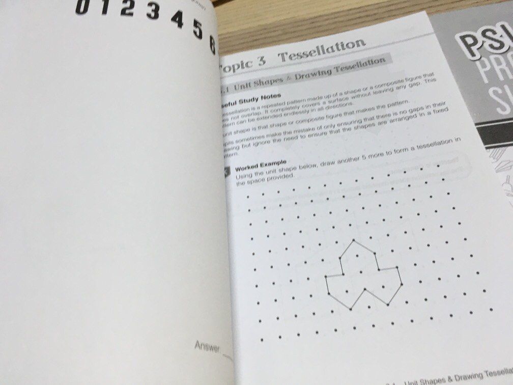 PSLE problem solving skills, Hobbies & Toys, Books & Magazines ...